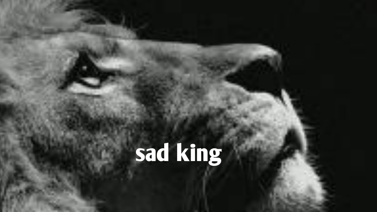 sad king_A wayward traveler(instrument) video with sad king,//👑 - YouTube