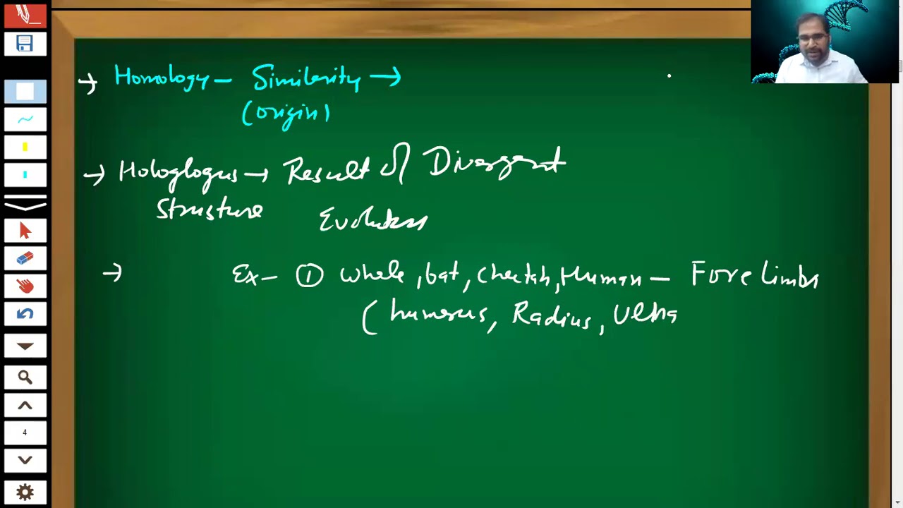 Evolution -3 - YouTube