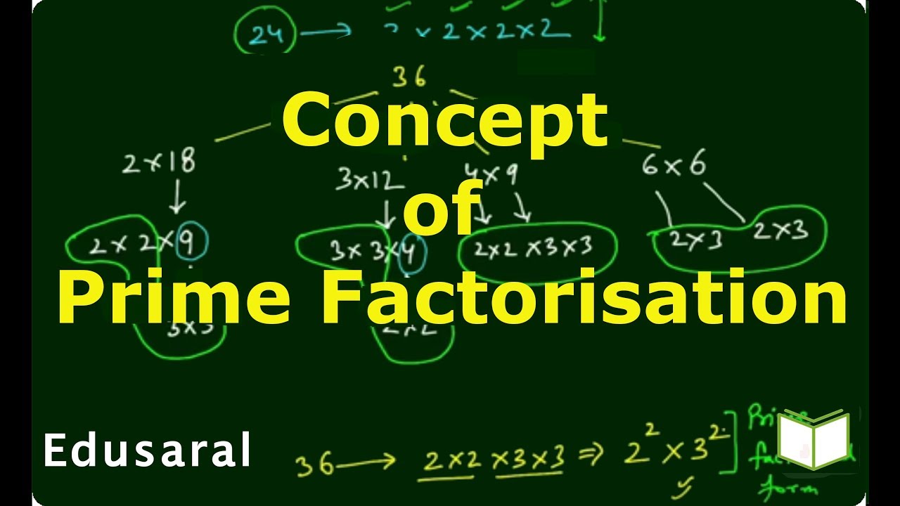 Concept of Prime Factorisation | Playing with Numbers | Ch-3.7- 6th Std ...