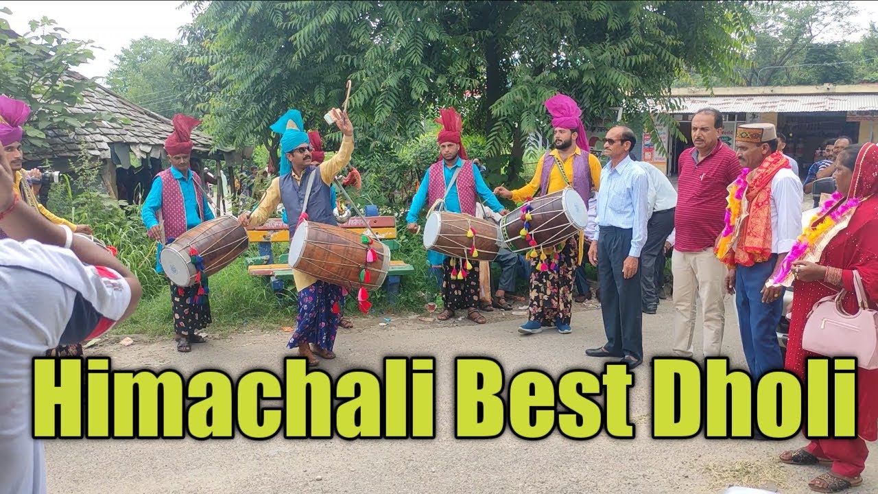 Himachali Best Dholi || Himachali Ak Vlog || Shami Dholi Party Himachal ...