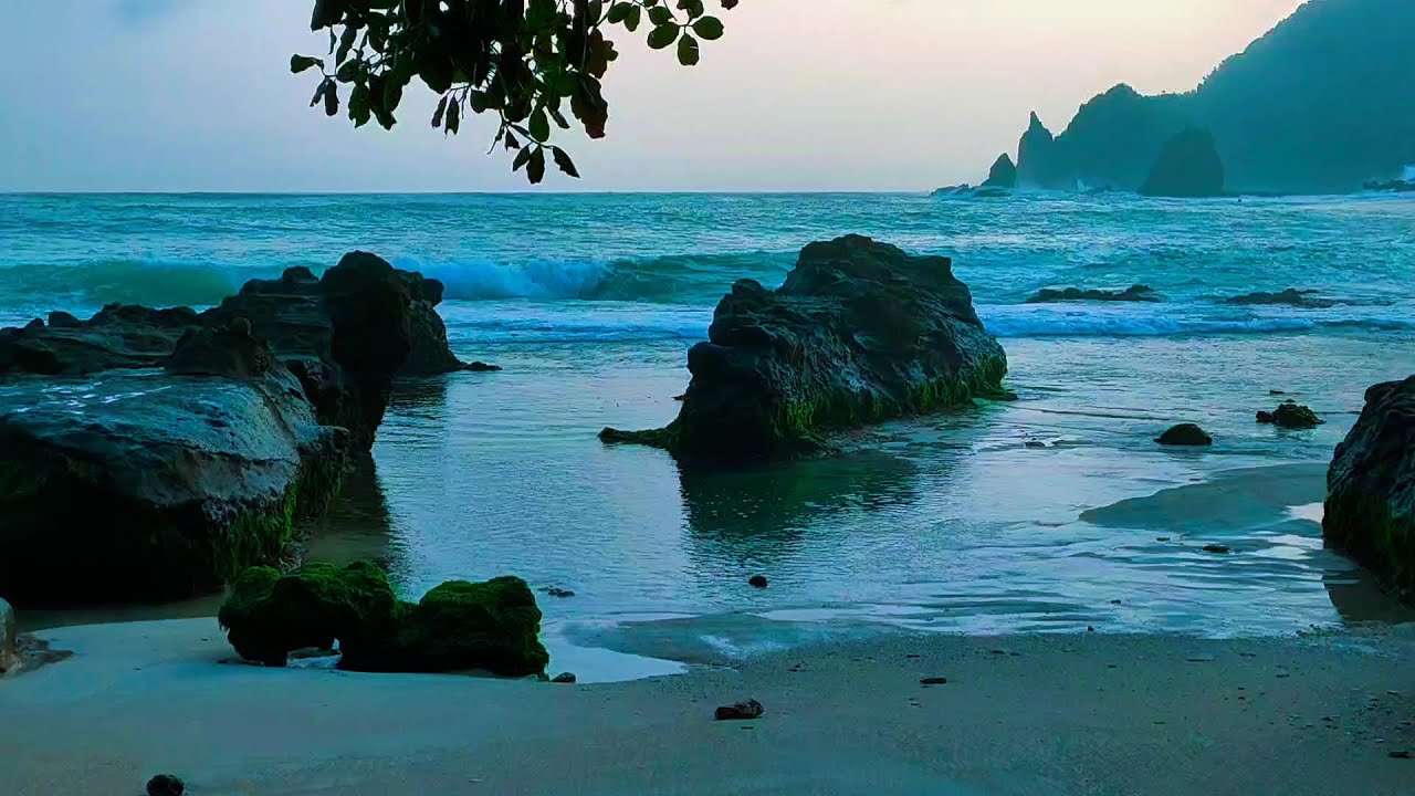 Relaxing sound of ocean waves at the edge of the forest for deep sleep ...