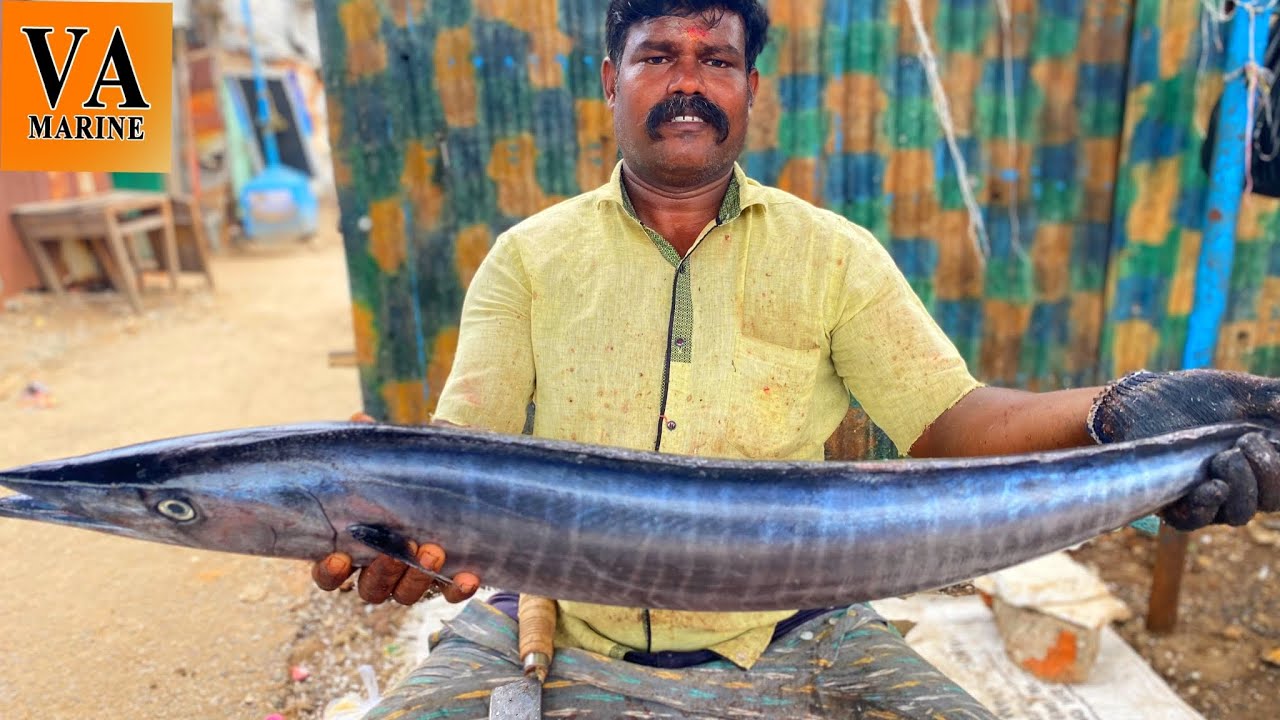 🔥🔪காசிமேடு சிறுத்தை துரை 🔥🔪🐬அரக்கோலா மீன்🐬(ARA KOLA FISH) வெட்டும் ...