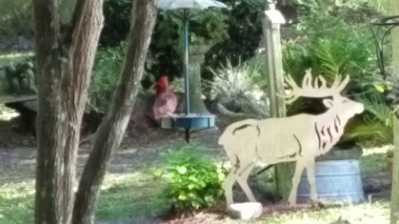 Swamp Dayz.. - YouTube