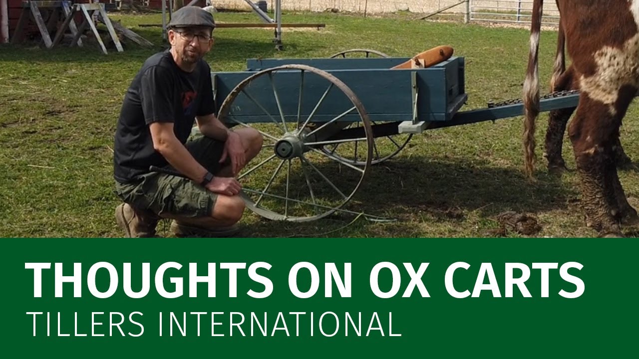 Thoughts On Ox Carts - YouTube