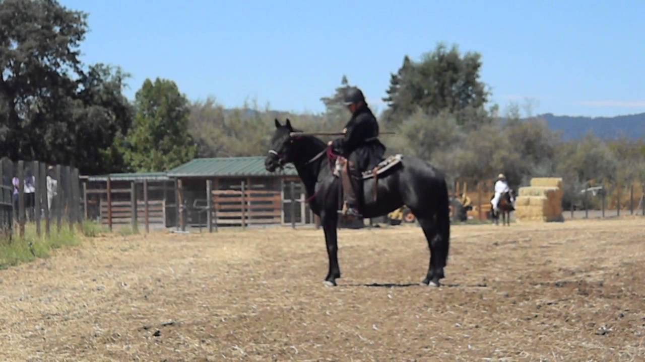 Fiesta of the Horse - Azteca Beginning Garrocha Colonial Spanish Horse ...
