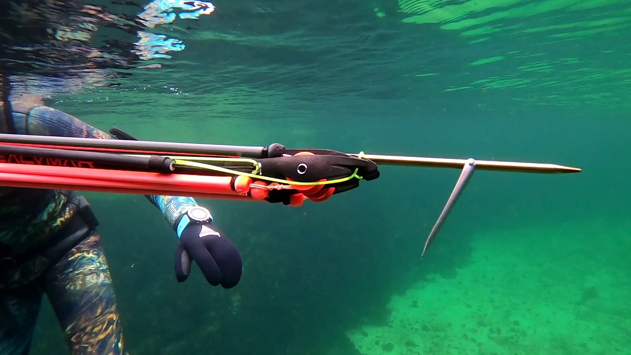 Salvimar Tomahawk - testing video from Frivannsliv - YouTube