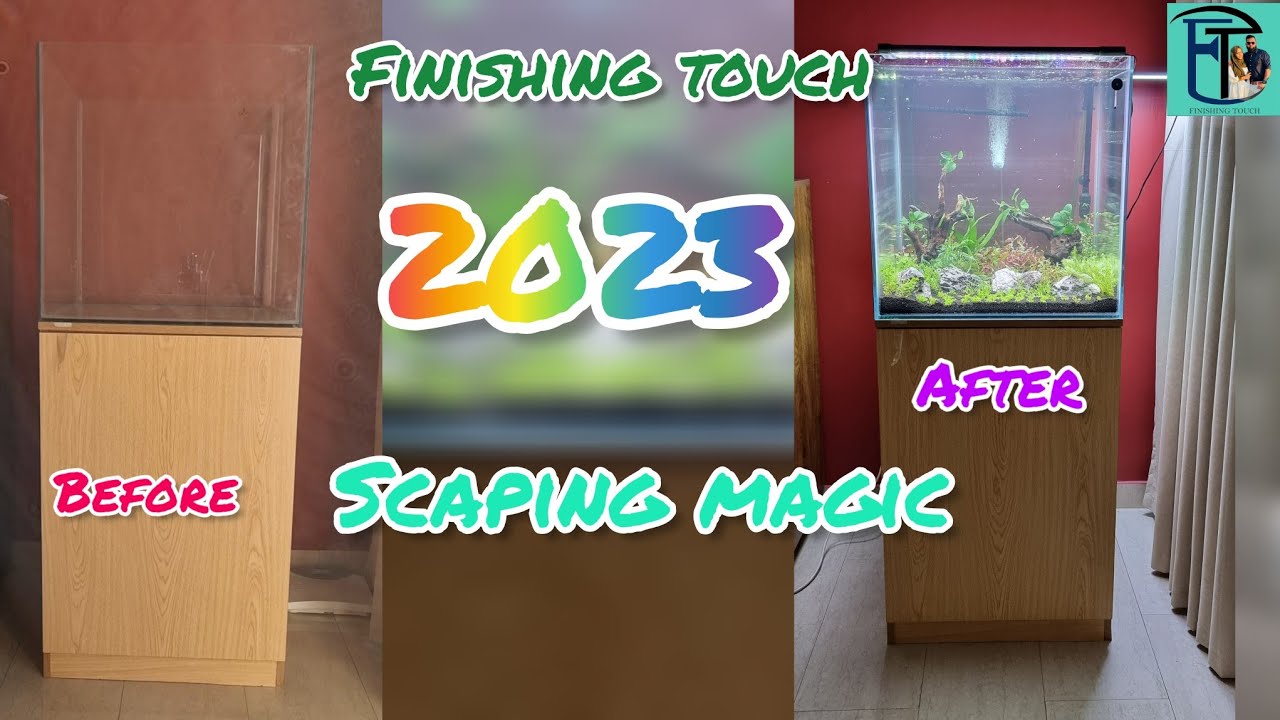 AQUASCAPING 13 | 60 CM CUBE AQUARIUM | 60x60x60 TANK SCAPING ...