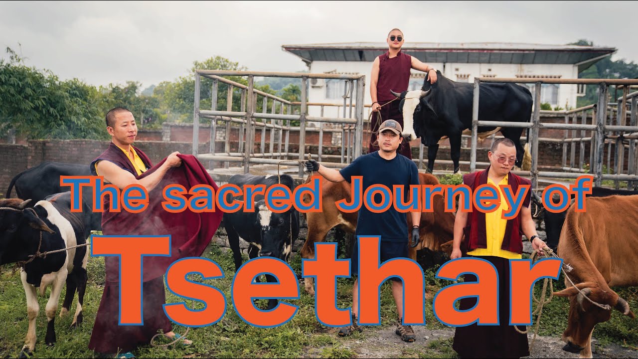 The sacred Journey of Tsethar - YouTube