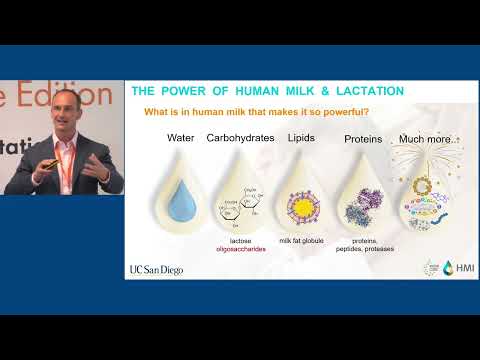 Lactation as a biological system: The dynamics of human milk composition