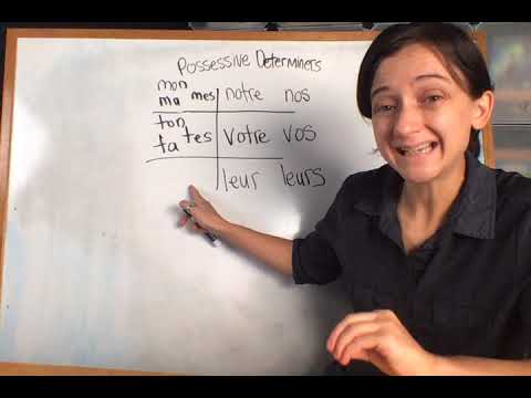 2.3 possessive adjectives (determiners) in French (mon, ma, mes ...