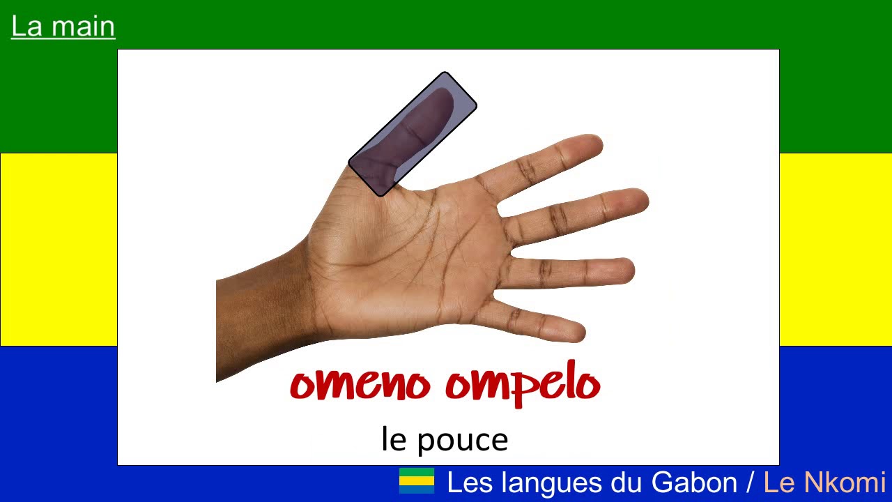 Cours de vocabulaire myènè (langue du Gabon): les parties du corps ...