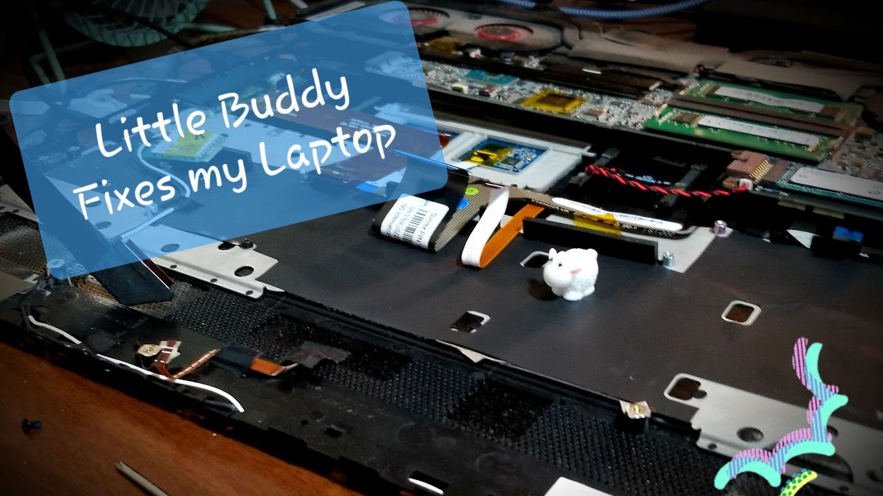 Little Buddy and My Laptop - YouTube
