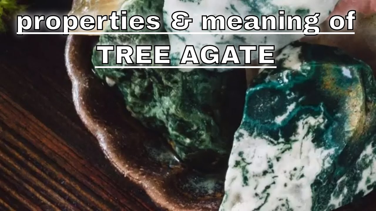 Tree Agate Meaning Benefits and Spiritual Properties - YouTube