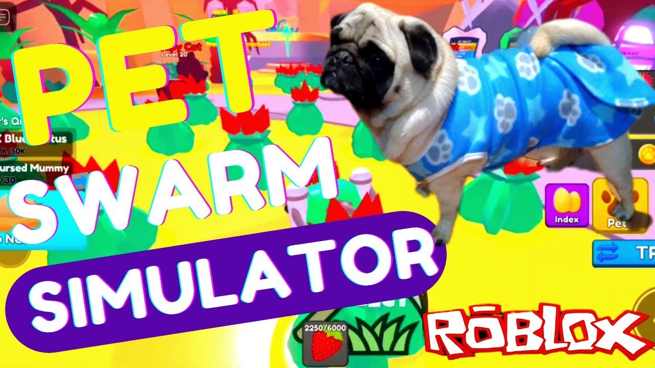 Como Evoluir _ PET SWARM SIMULATOR / NO ROBLOX !!! - YouTube