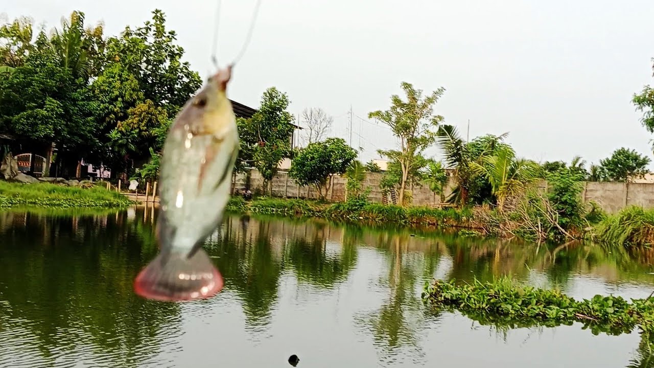 Mancing di danau galian@joranmerah4706 - YouTube