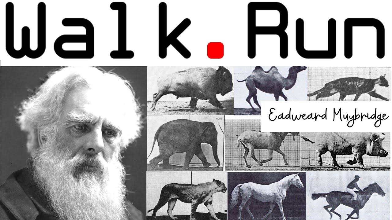 Walk Cycle Muybridge