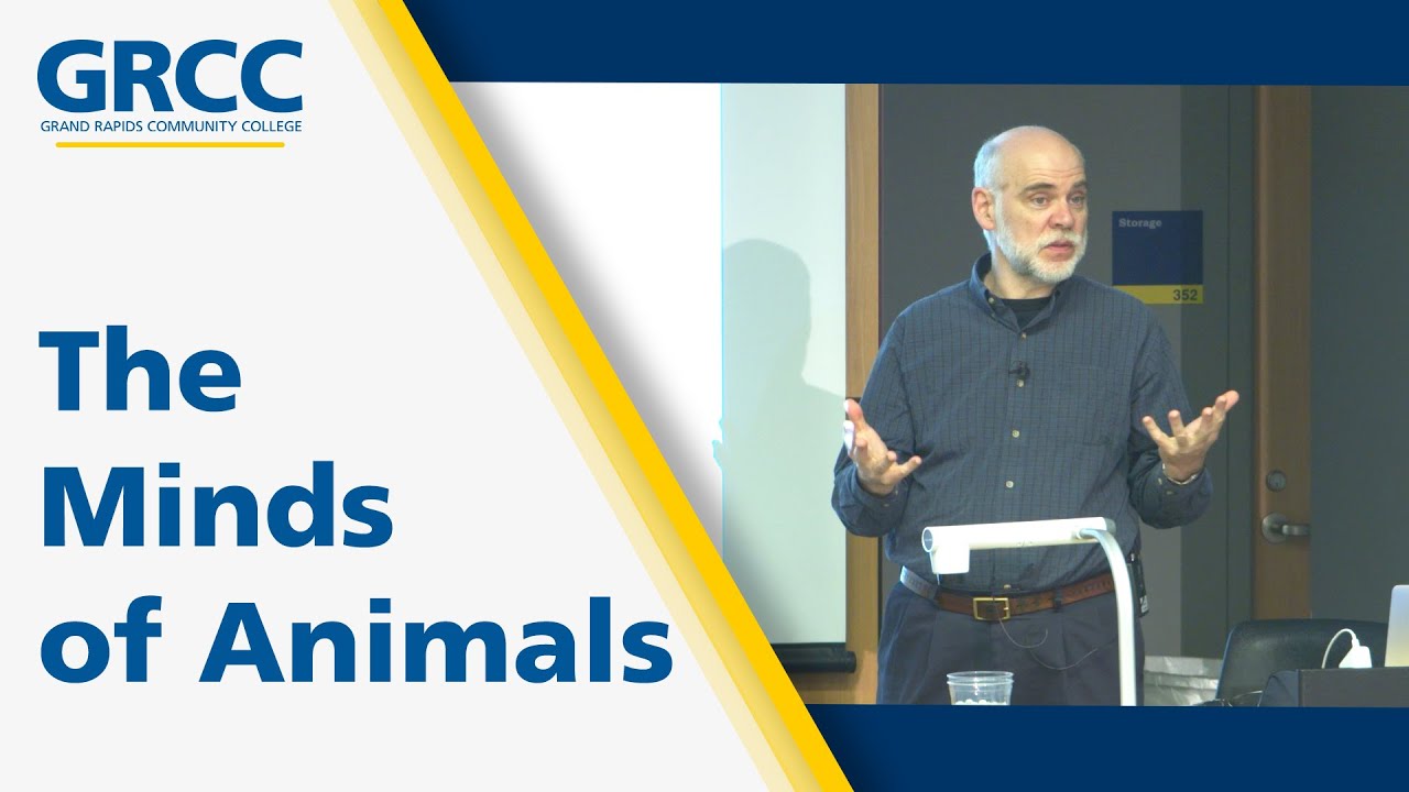 The Minds of Animals: Dr. Mark Reimers, MSU Neuroscience - YouTube