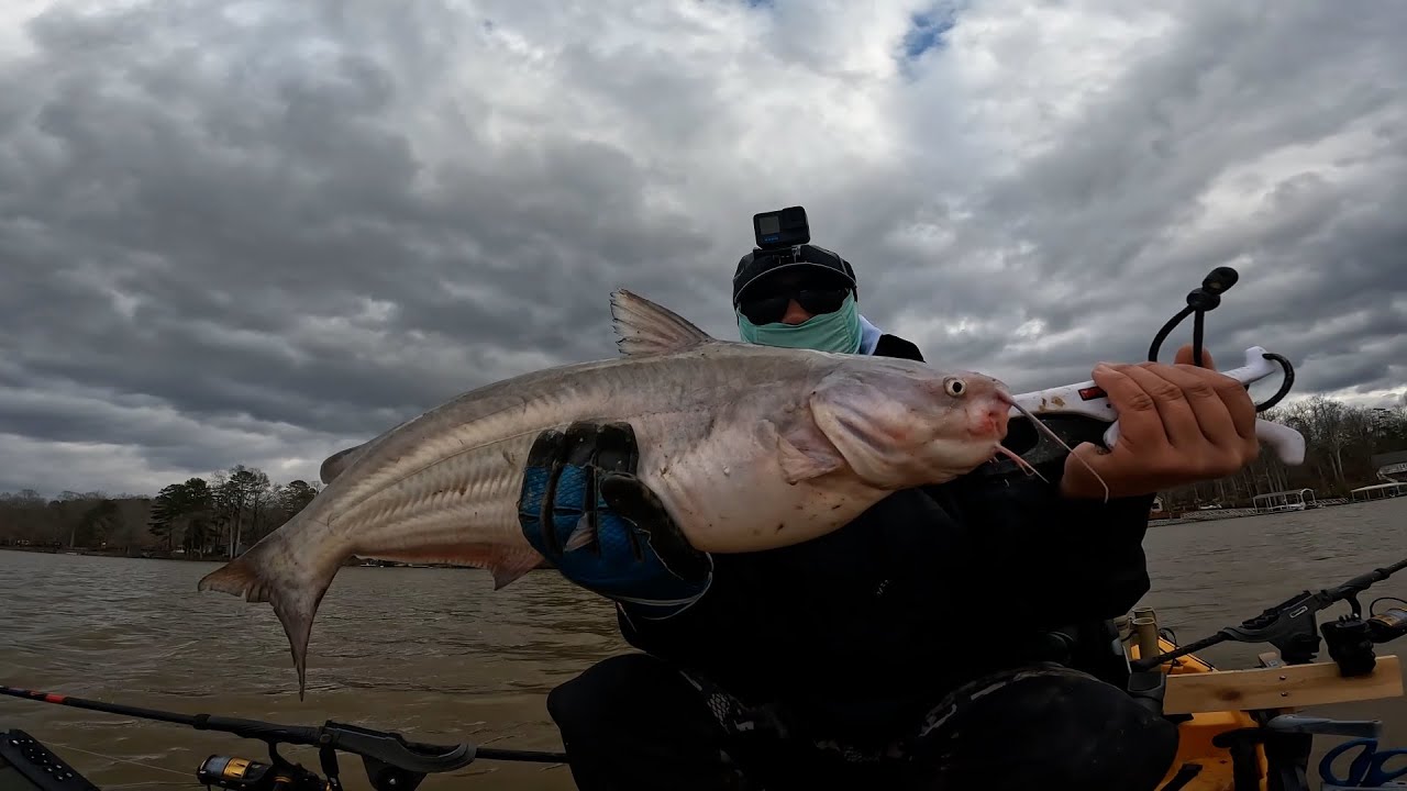 Kayak Catfishing on HIgh Rock Lake! Cold and WIndy! - YouTube