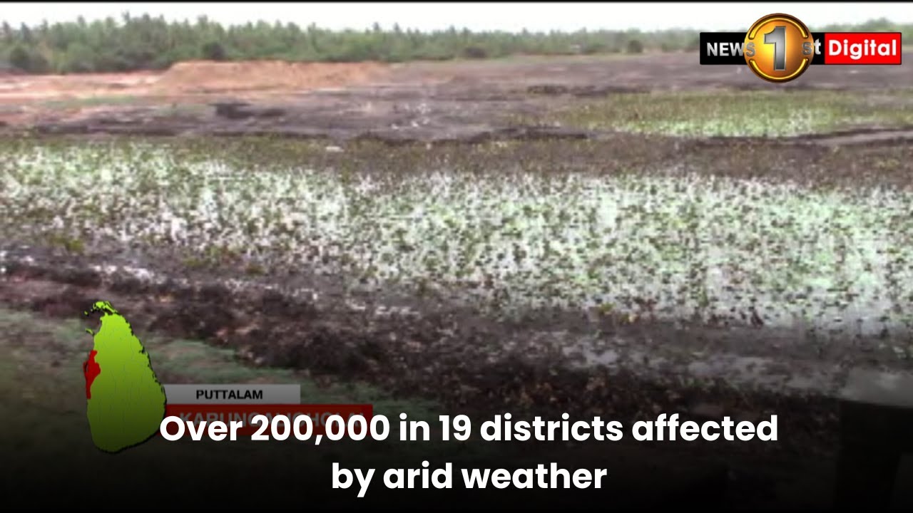 Over 200,000 in 19 districts affected by arid weather - YouTube