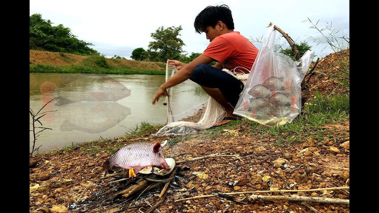 Net Fishing - Fishing For Tilapia | Good Casting For Tilapia | Catch n ...