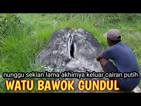 WOW 😱 ADA WATU BAWOK GUNDUL DITENGAH KUBURAN TIBA-TIBA KELUAR CAIRAN ...