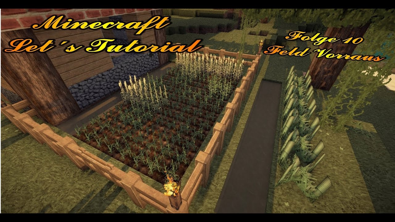 Minecraft Tutorial 010 Feld vorraus - YouTube