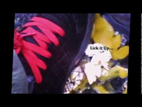 The Legendary Deitmar Verhoeven Egg Stomp Video