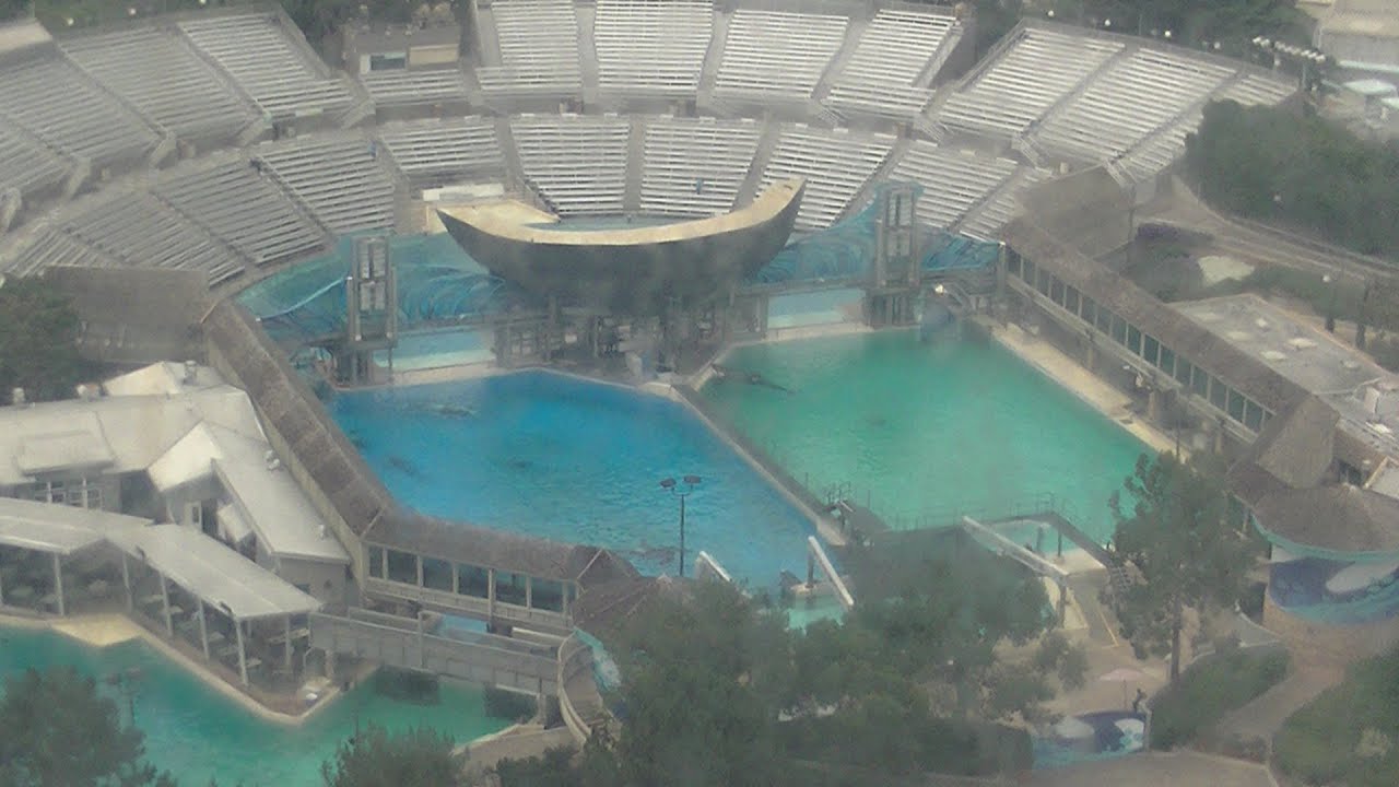 Sky Tower (Full HD) May 15 2016 - SeaWorld San Diego - YouTube