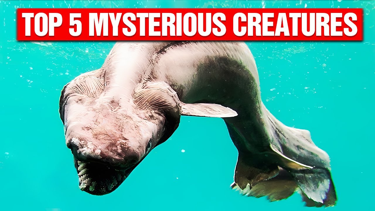 TOP 5 MYSTERIOUS CREATURES YOU WON’T BELIEVE EXISTED - YouTube