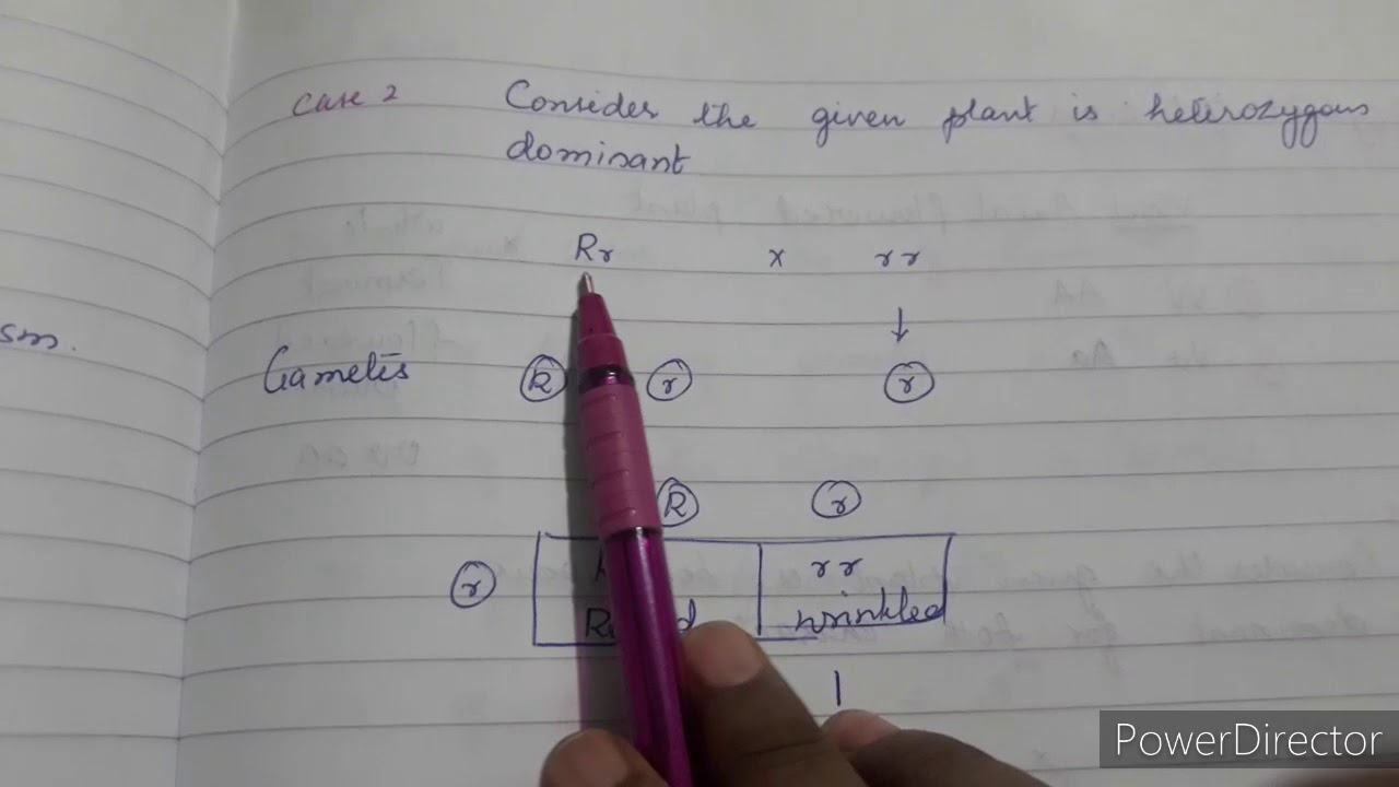 Test cross, out cross - Back Cross - YouTube