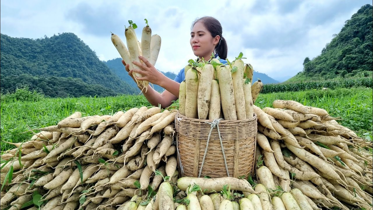 Harvest the field of White Radish go to the Market sell - hang it in ...