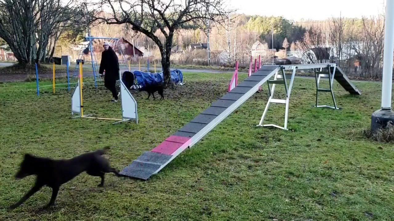 Kira running contacts training 16/11-2018 - YouTube