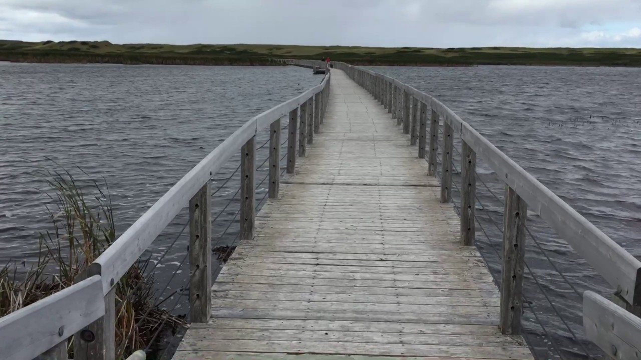 PEI, Greenwich Dunes Floating Boardwalk - YouTube