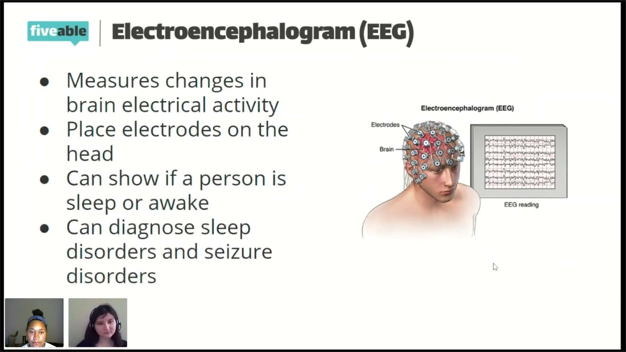 AP Psychology - Brain Imaging & Research Tools | Fiveable Cram Archive
