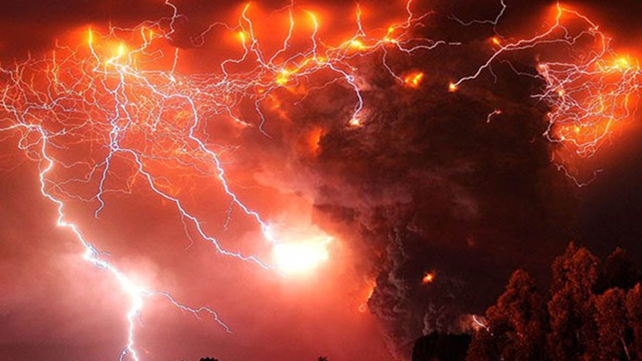 Top 20 World Craziest Things Found In Nature - YouTube