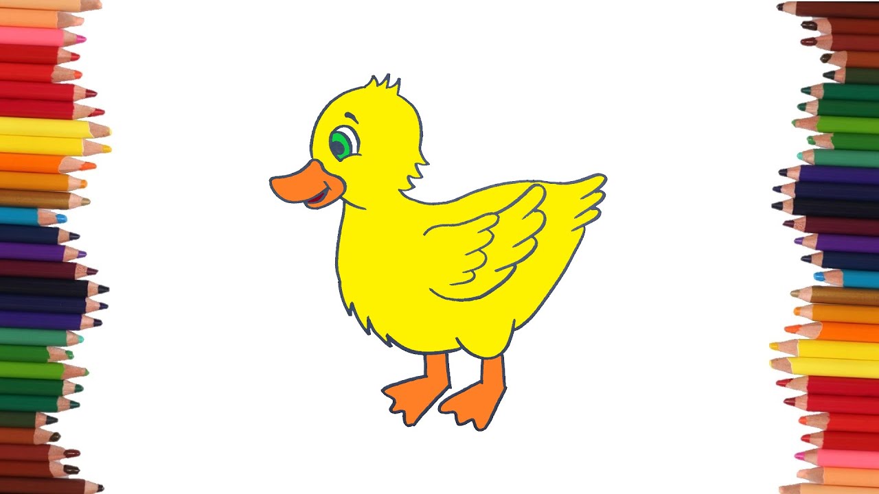 Cómo dibujar un pato - YouTube