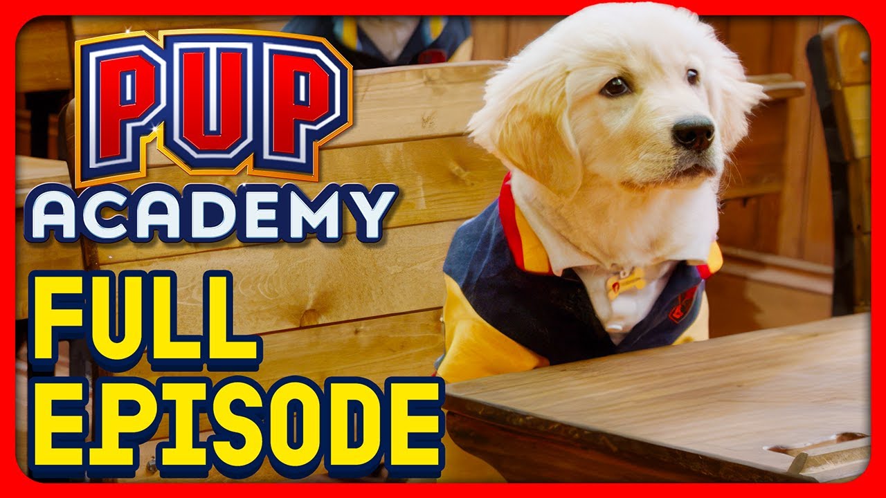 Tell Us About Your Human Day | Pup Academy Full Episode S1E2 - YouTube