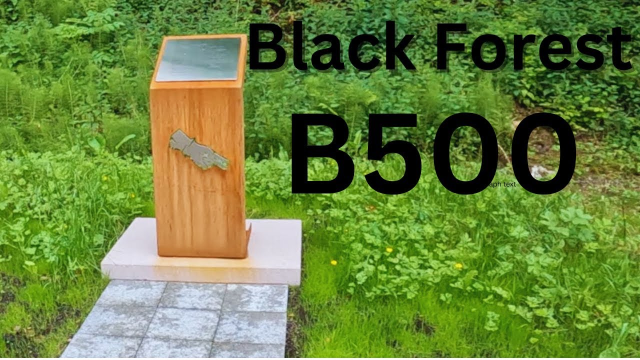 The reason for the low speed limits.on the B500 Germany Black Forest ...