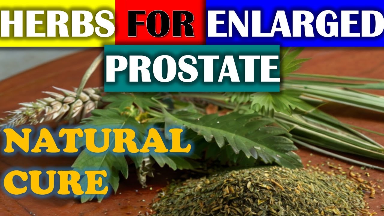 How Natural Herbs can Help Treat Enlarged Prostate | Prostate Health ...