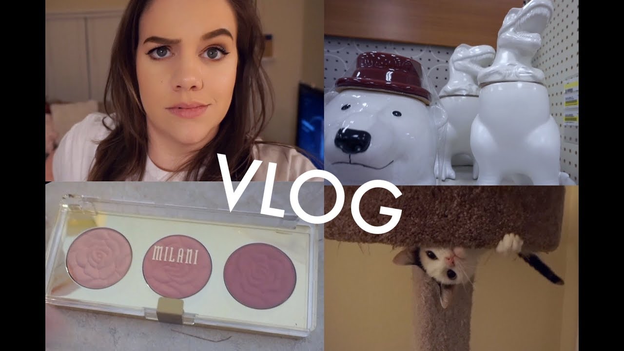 VLOG #37 | TJ MAXX SHOPPING, LOTS of CATS & MAIL UNBOXING! - YouTube