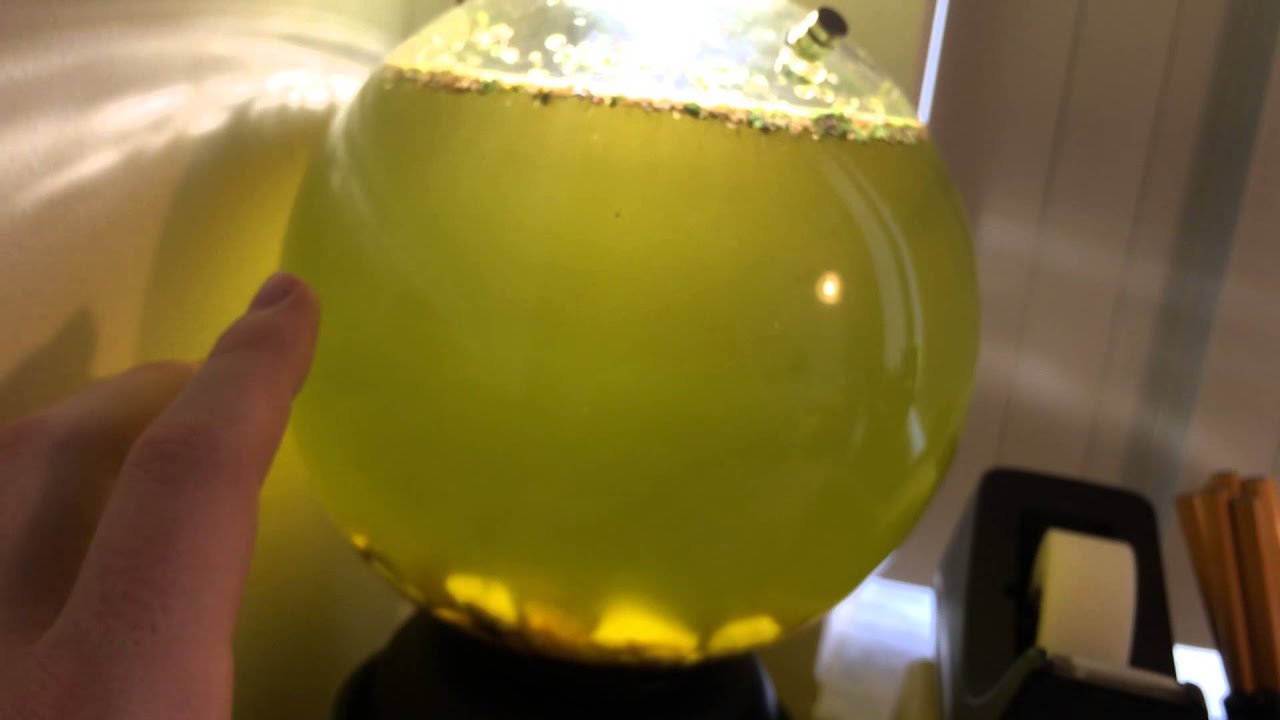 DIY Ecosphere Update 2 (Algae Bloom) - YouTube