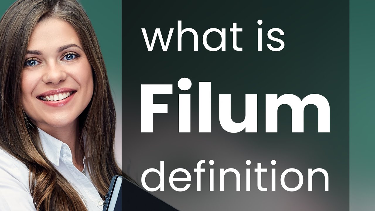 Filum • what is FILUM meaning - YouTube