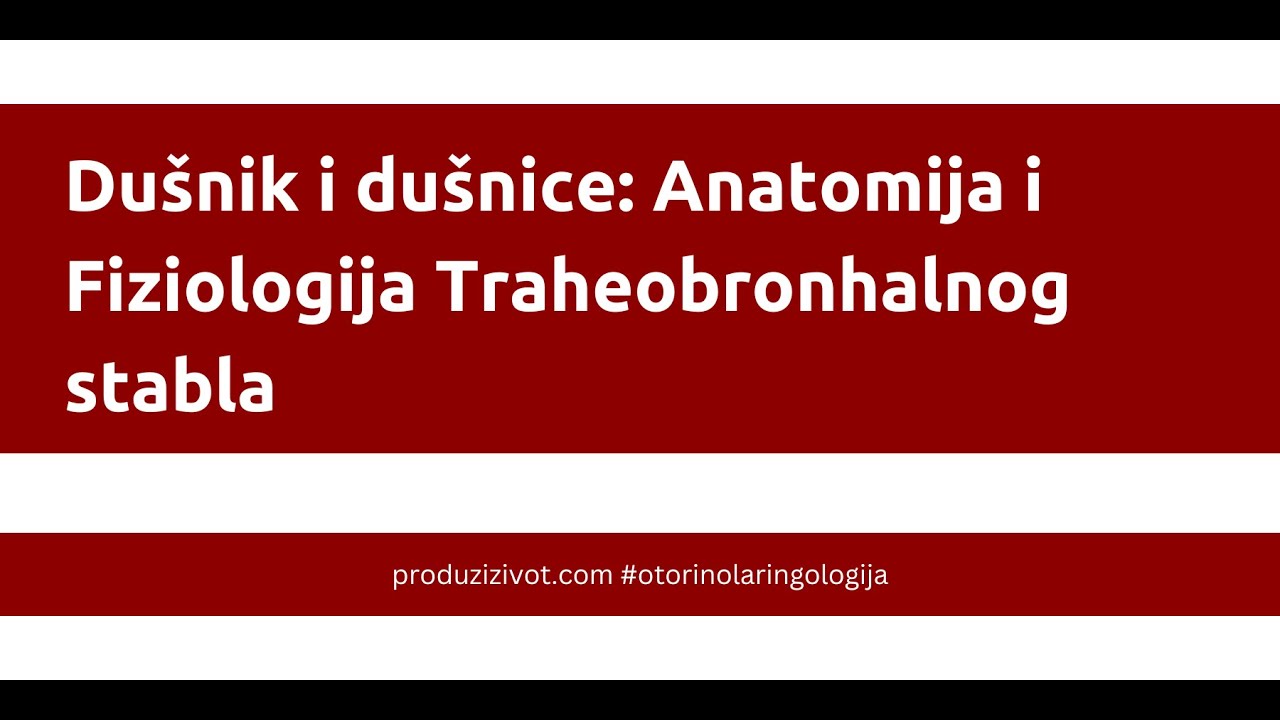 Dušnik i dušnice: Anatomija i Fiziologija Traheobronhalnog stabla - YouTube