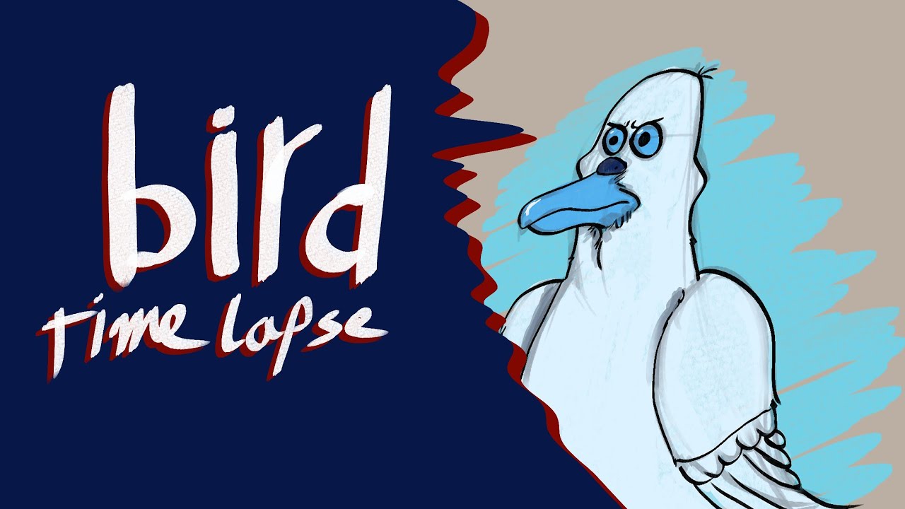 bird time-lapse - YouTube