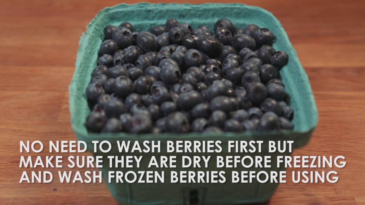 BC Blueberry Basics - YouTube