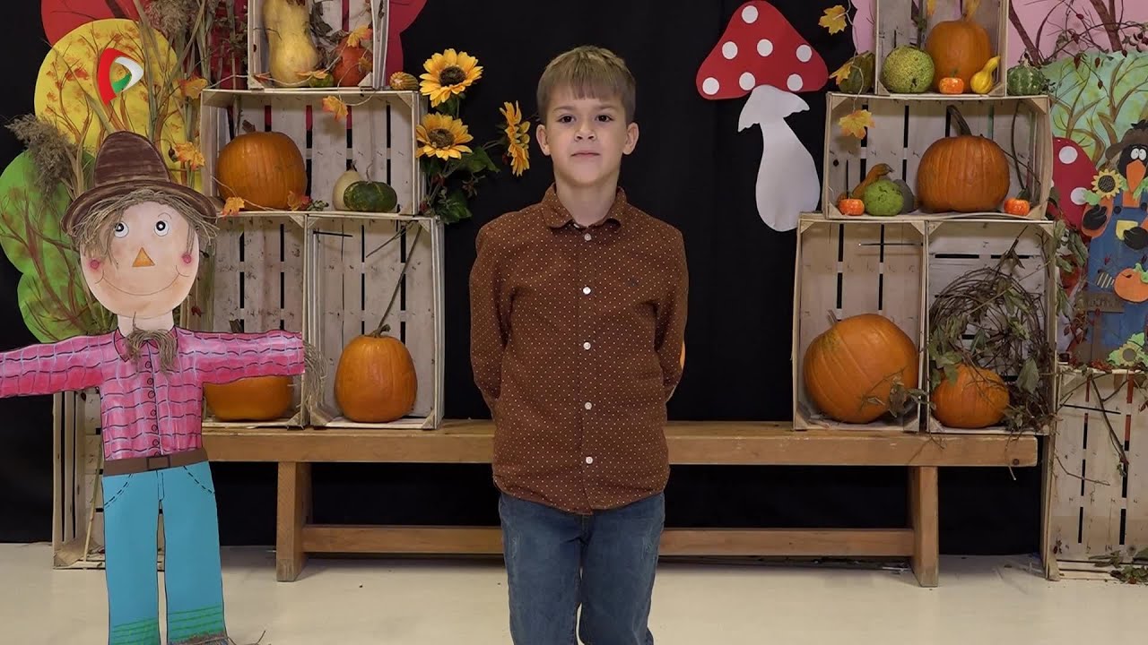 Kalamáris – Búrány Hunor - YouTube