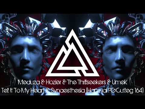 Meduza & Hozier - Tell It To My Heart (Hamvai PG Cutleg 164)