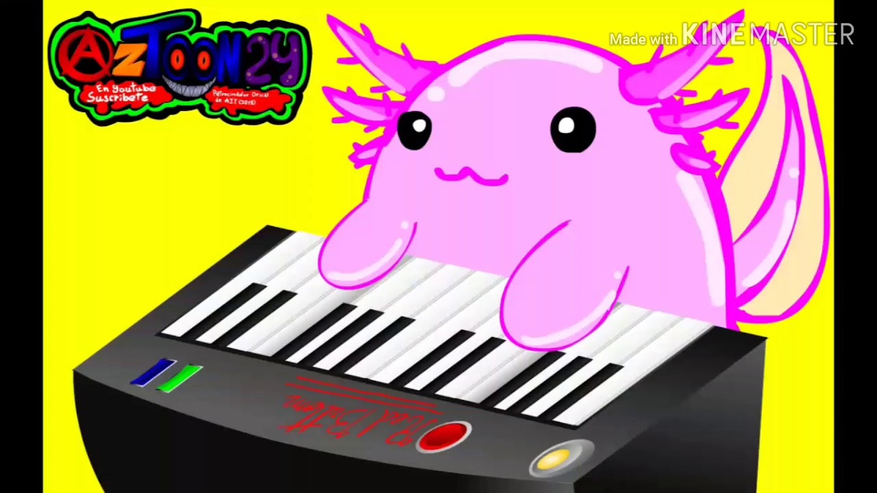 Axolotl play's the piano - YouTube