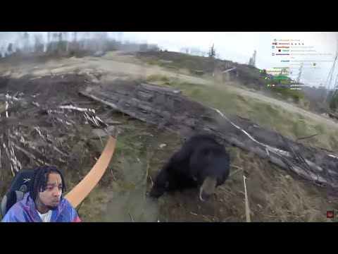 Reacting To Disturbing Hunting Encounters Caught on Camera!