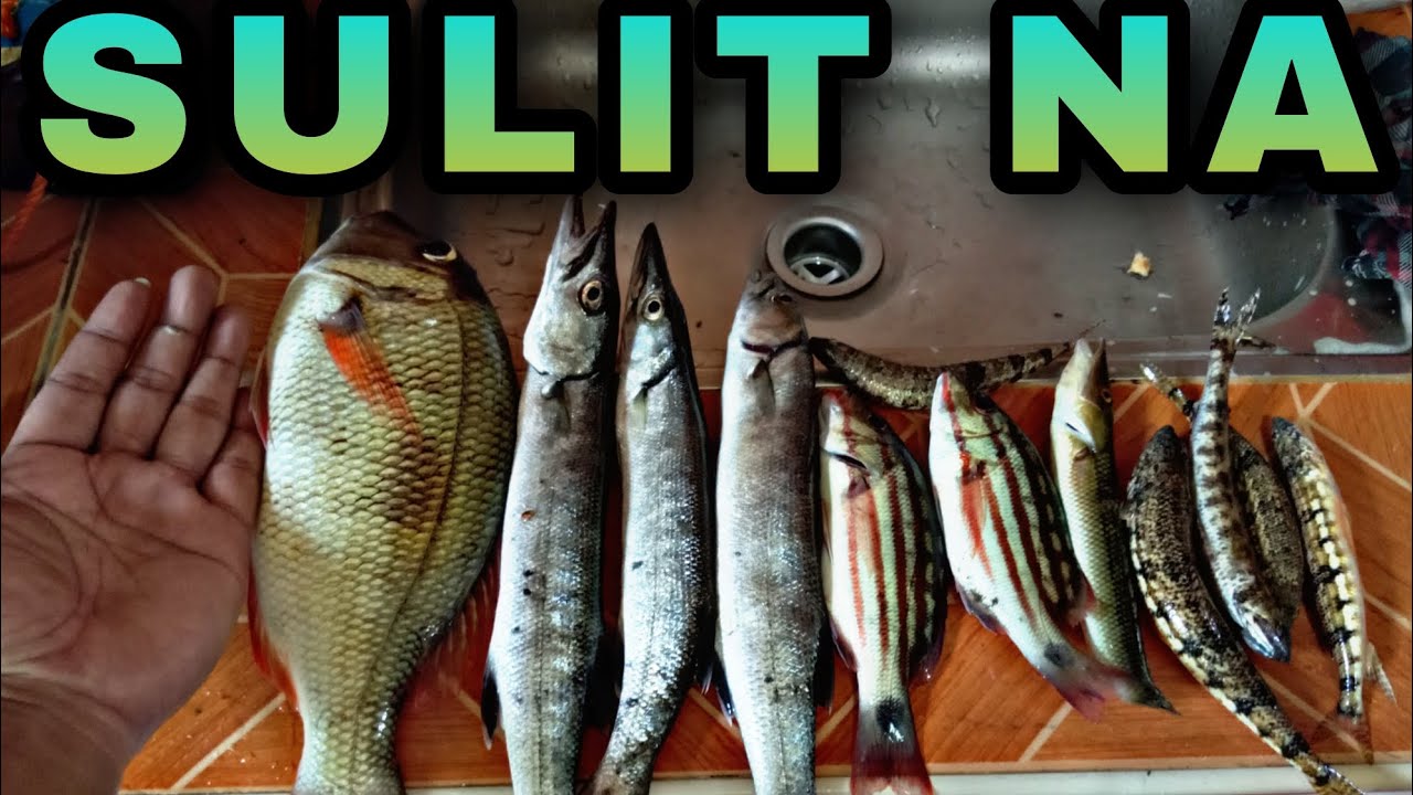 Ep-42 Ultralight fishing | best time to fishing | Isang lure sapat na ...